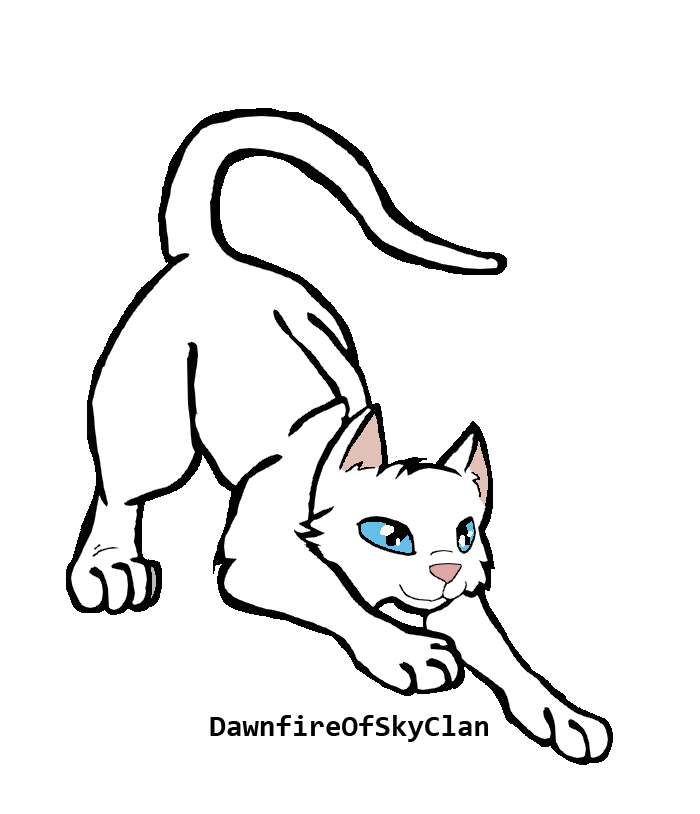 Frostpaw Windsplash Warriors Fan Made Clans Wiki Fandom