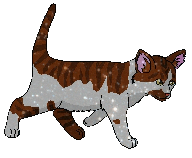 Cherrykit (Aquamarine1212) | Warriors Fan Made Clans Wiki | Fandom