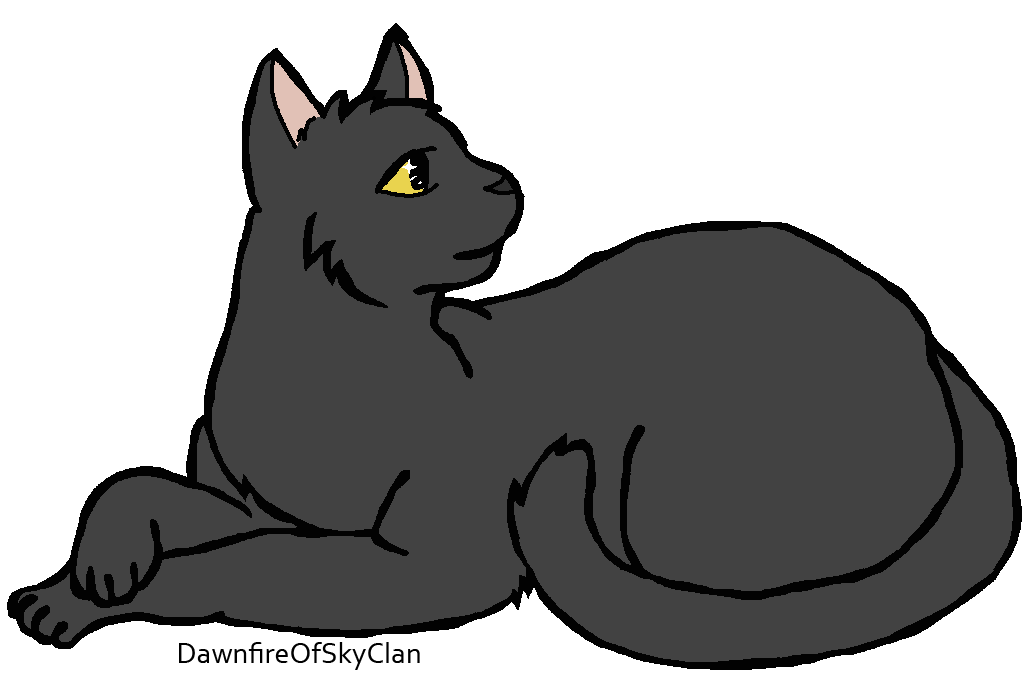 Rockfall (Pandora910) | Warriors Fan Made Clans Wiki | Fandom