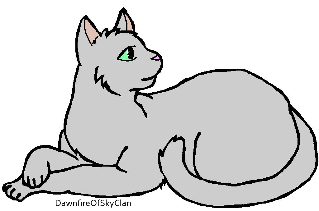 Category:Cats | Warriors Fan Made Clans Wiki | Fandom