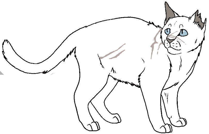 Icestorm (FishCat1) | Warriors Fan Made Clans Wiki | Fandom