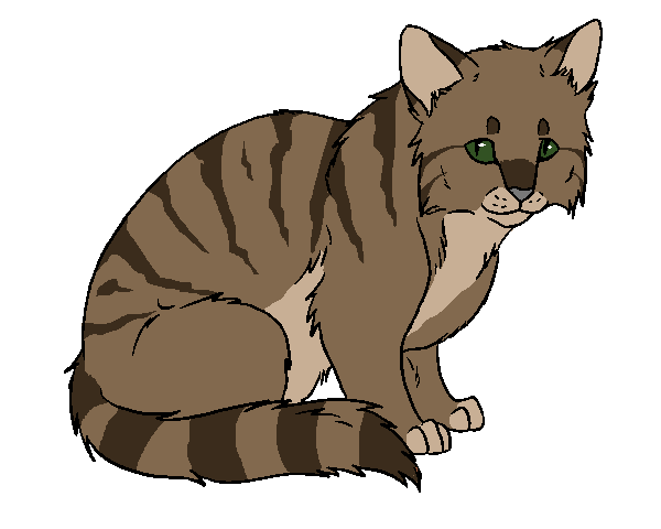 Dustpaw (FishCat1) | Warriors Fan Made Clans Wiki | Fandom