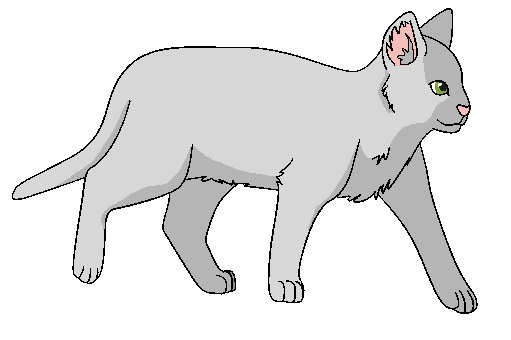 Ivypaw (Aquamarine1212) | Warriors Fan Made Clans Wiki | Fandom