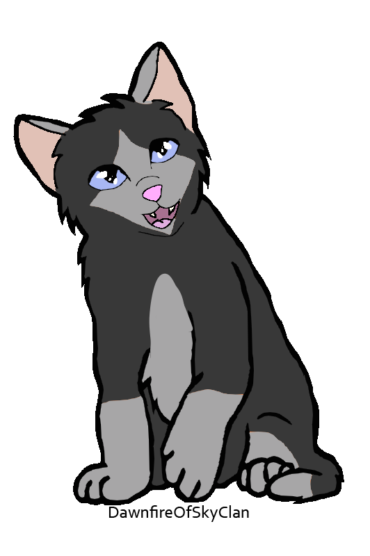 Cinderwing (Windsplash) | Warriors Fan Made Clans Wiki | Fandom