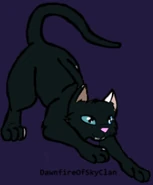 Berrysky(Dappledflight) | Warriors Fan Made Clans Wiki | Fandom