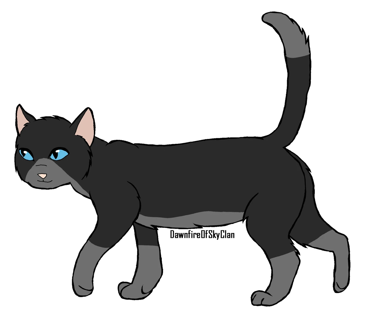 Cinderflight (Windsplash) | Warriors Fan Made Clans Wiki | Fandom