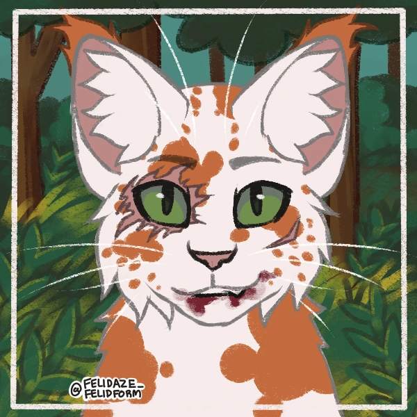 Featherbreeze (Catperson21) | Warriors Fan Made Clans Wiki | Fandom