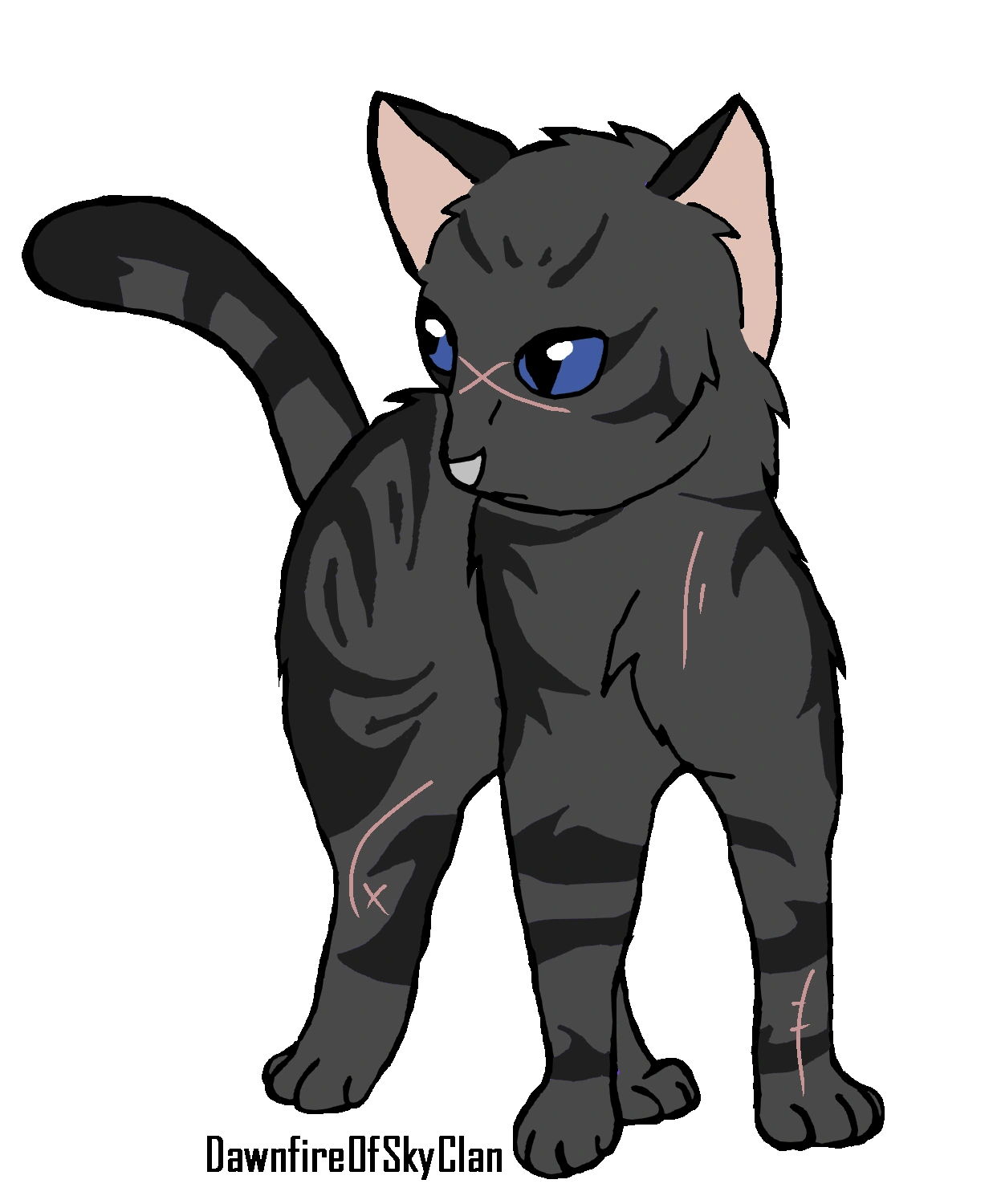 Night (Windsplash) | Warriors Fan Made Clans Wiki | Fandom