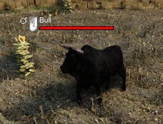 Bull | Heat Wiki | Fandom