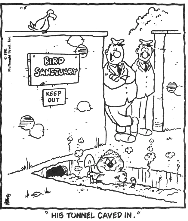 January 1981 comic strips | Heathcliff Wiki | Fandom