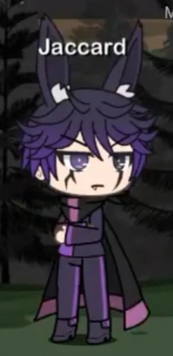 Jaccard | DatabaseAge Wiki | Fandom