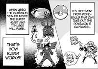 Pokémon réBURST | Heck Yeah Transformation Wiki | Fandom