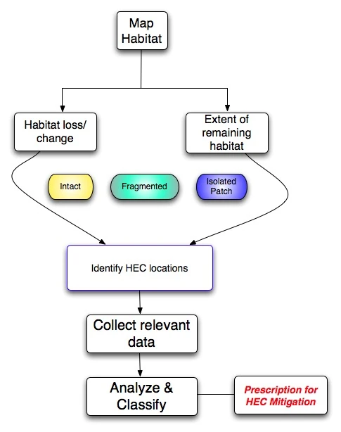 TYPES of HEC | Hectf Wiki | Fandom