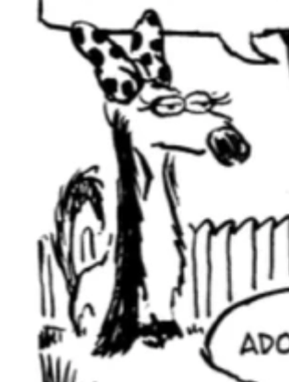 Dotty | Over the Hedge Wiki | Fandom