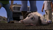 Ozzie | Over the Hedge Wiki | Fandom
