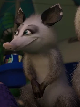 Over The Hedge Ozzie And Heather