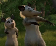 Heather | Over the Hedge Wiki | Fandom