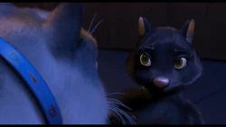 over the hedge stella reference