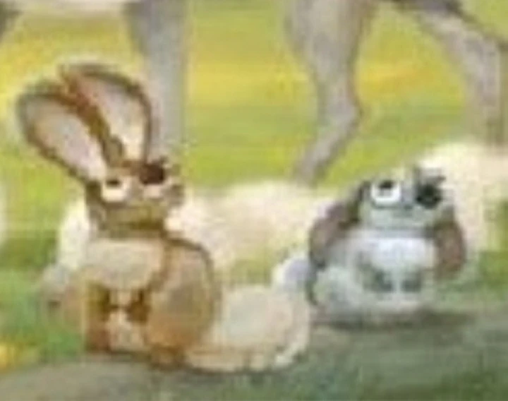 The Rabbit Family | Over the Hedge Wiki | Fandom