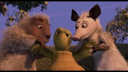 Ozzie | Over the Hedge Wiki | Fandom