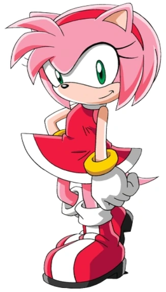 Amy Rose (X) | Hedgehogs & Turtles Fanfiction Series Wiki | Fandom