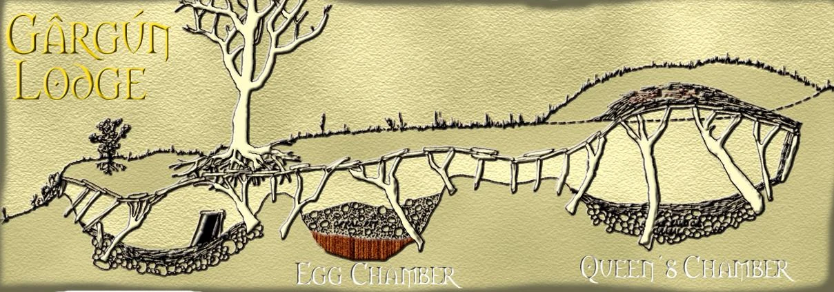 Gargùn | Secteur HEF Wiki | Fandom