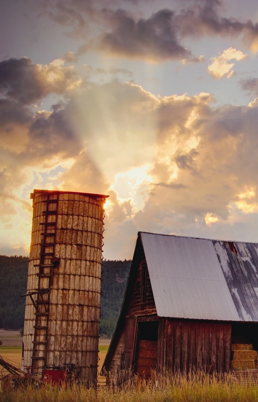 Wren (Code) | Heliosanctus's Testing Wiki | Fandom