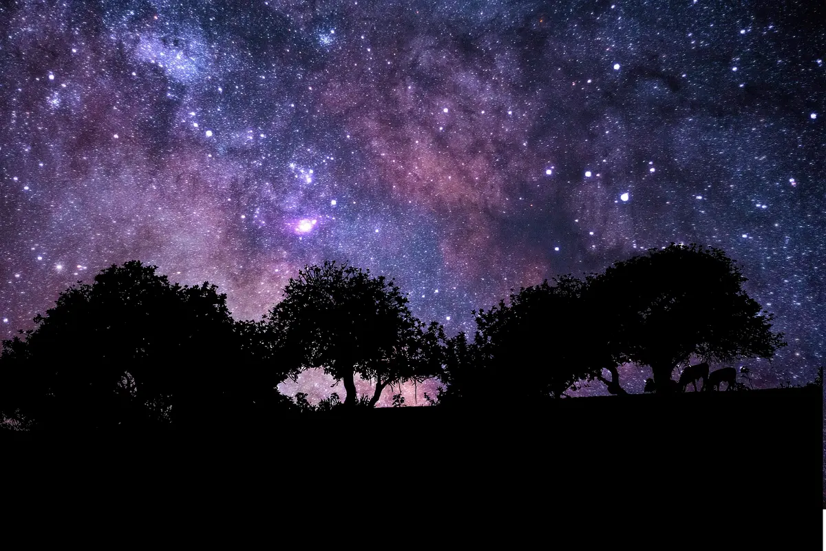 I love being purple!!! -patrick star | Heliosanctus's Testing Wiki | Fandom