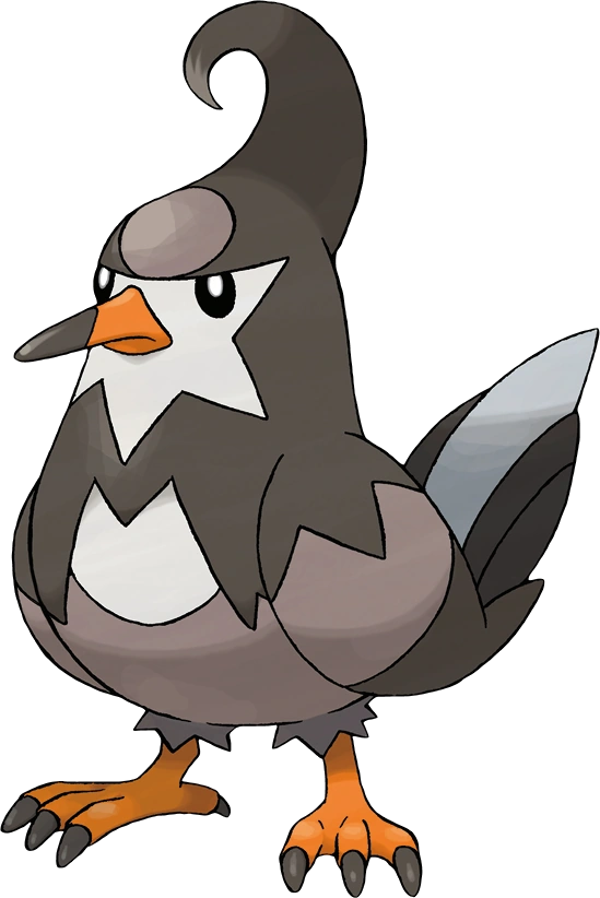 Bird | Helixpedia Wiki | Fandom