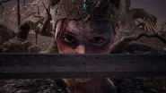 Senua | Hellblade Wiki | Fandom