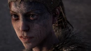Hellblade: Senua's Sacrifice | Hellblade Wiki | Fandom