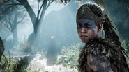 Senua | Hellblade Wiki | Fandom