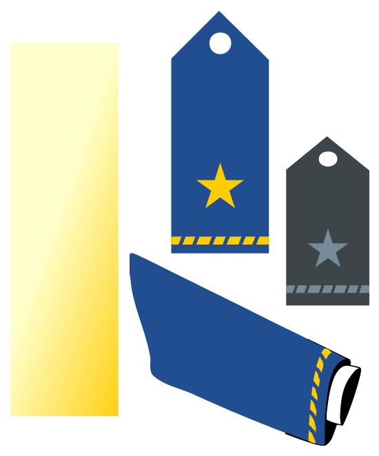 Ensign (rank) | Hellcats Database- The Hellcats Wiki | Fandom