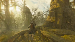 Clasa - Helldivers Wiki