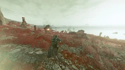 Charon Prime - Helldivers Wiki