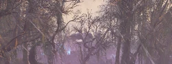 Seasse - Helldivers Wiki