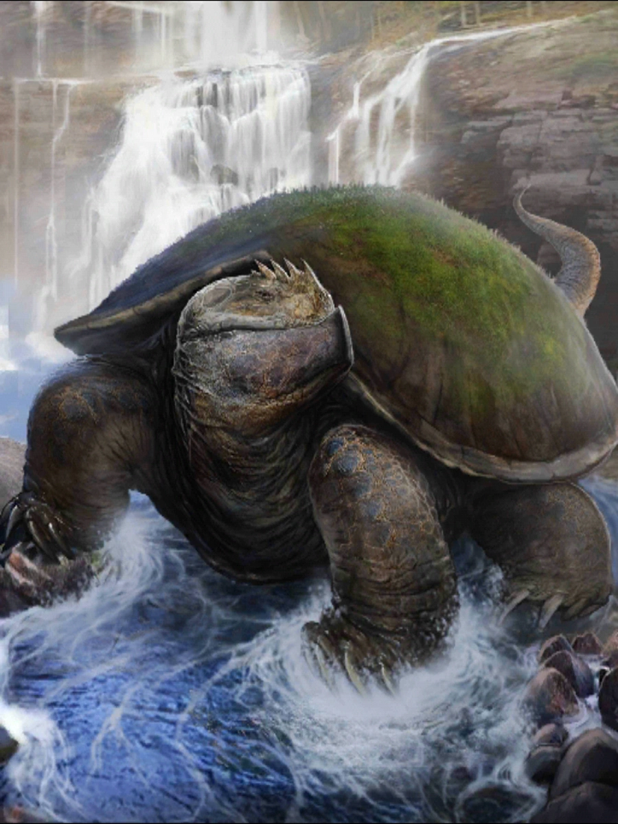 Siege Turtle | HellFire Wiki | Fandom