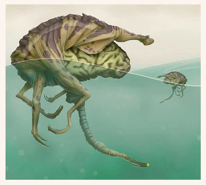 Cephaloid | Hell in the Earth Wiki | Fandom