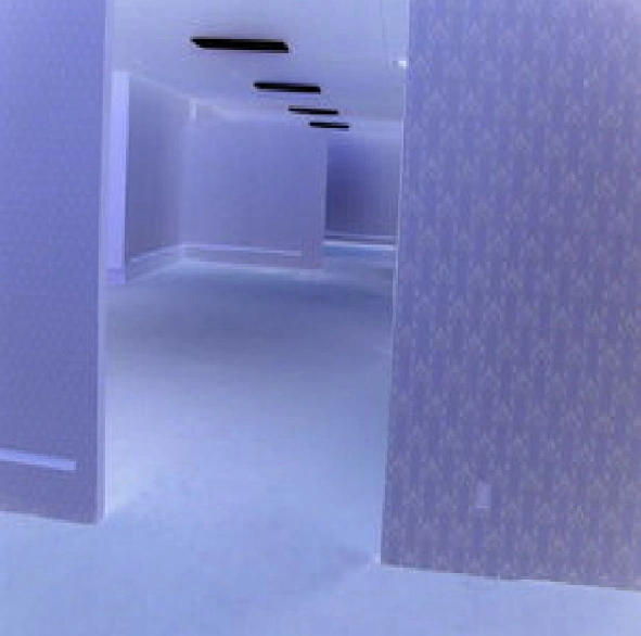 Discuss Everything About The Backrooms: Re-thought Wiki | Fandom