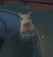 Gunter | Hello Neighbor Wiki | Fandom