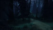 Raven Brooks Forest | Hello Neighbor Wiki | Fandom