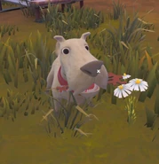 Gunter | Hello Neighbor Wiki | Fandom