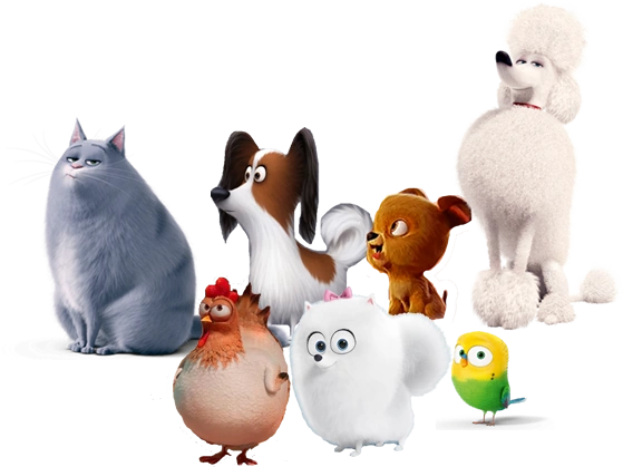 Pets | Hello yoshi Wiki | Fandom