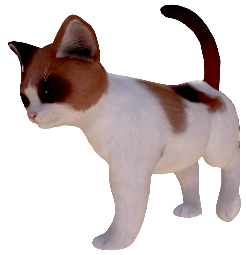 Cat | Hello yoshi Wiki | Fandom