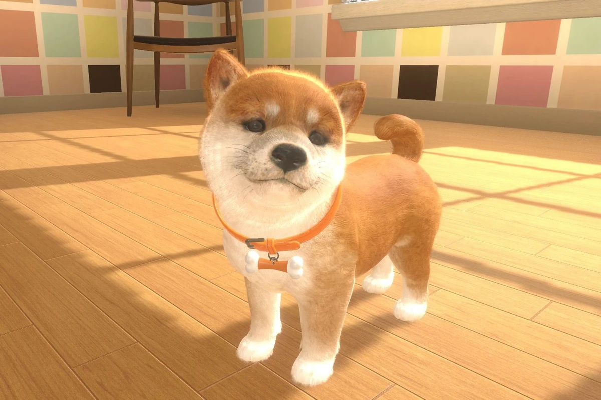 Nintendogs | Hello yoshi Wiki | Fandom