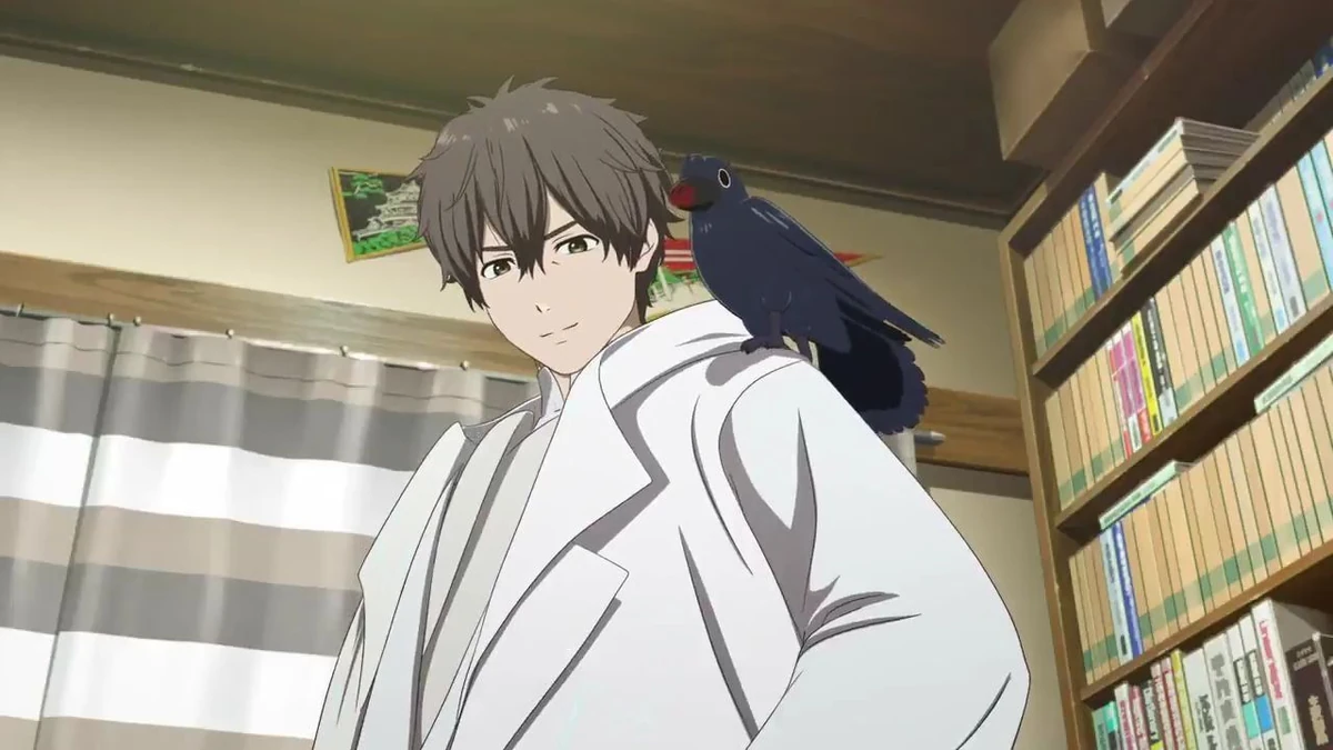 Sensei | Hello World Wiki | Fandom