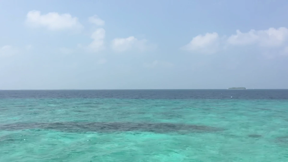 HI 62: Cheer Pressure | Hello Internet Podcast Wiki | Fandom