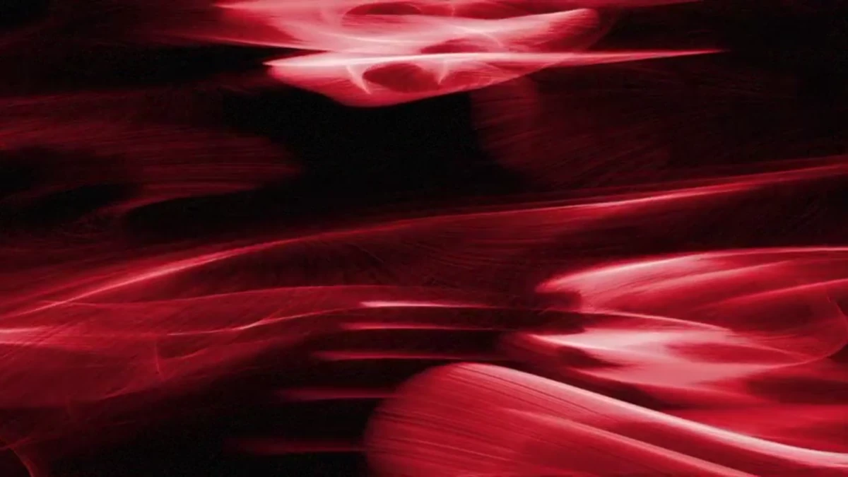 HI 72: 64 Pairs of Underwear | Hello Internet Podcast Wiki | Fandom