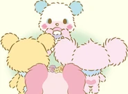 Poco | Hello Kitty Wiki | Fandom