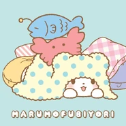 Marumofubiyori | Hello Kitty Wiki | Fandom